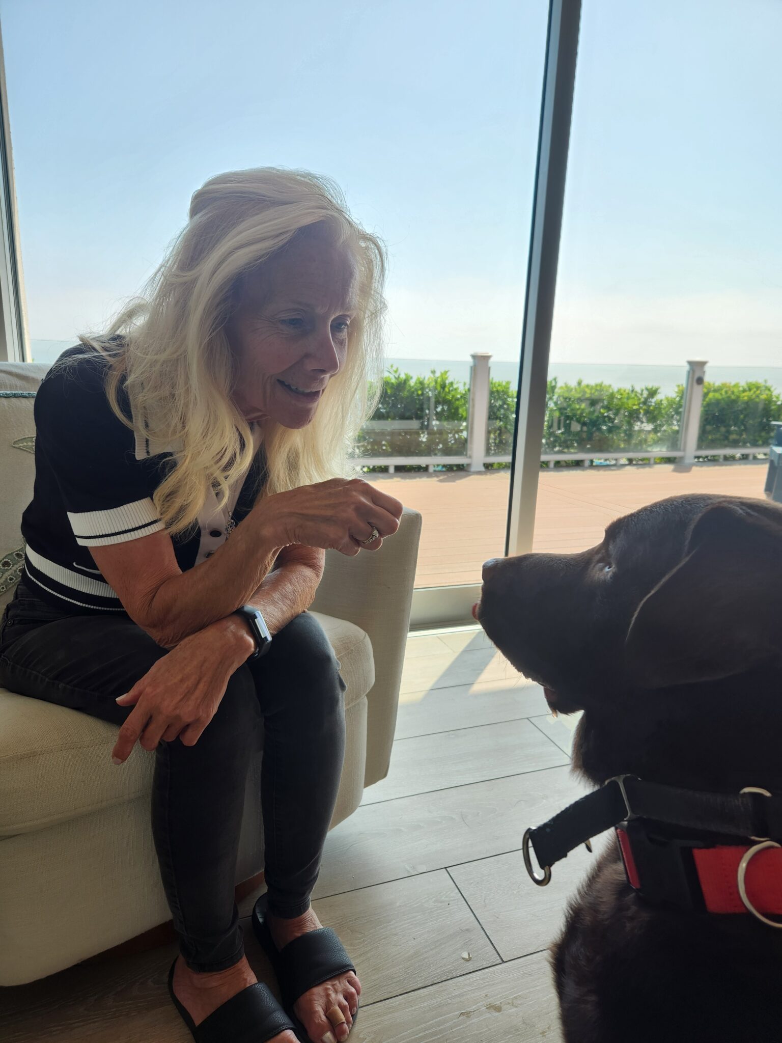 Meet the Team | Mobile Animal CT Leadership & Care Experts